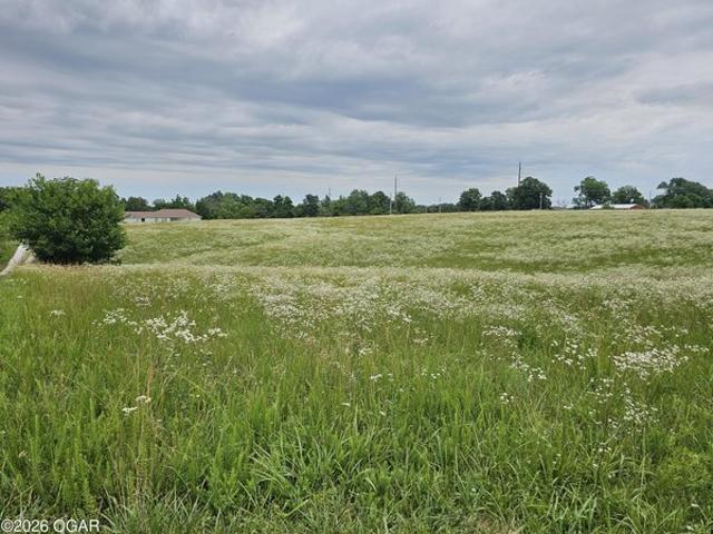 Lightning Bug Ln Lot 9, Goodman, MO 64843