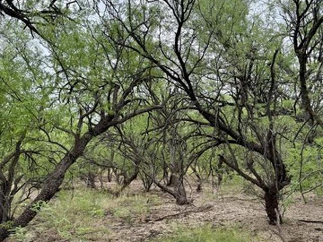 Lightning Ln, Benson, AZ 85602