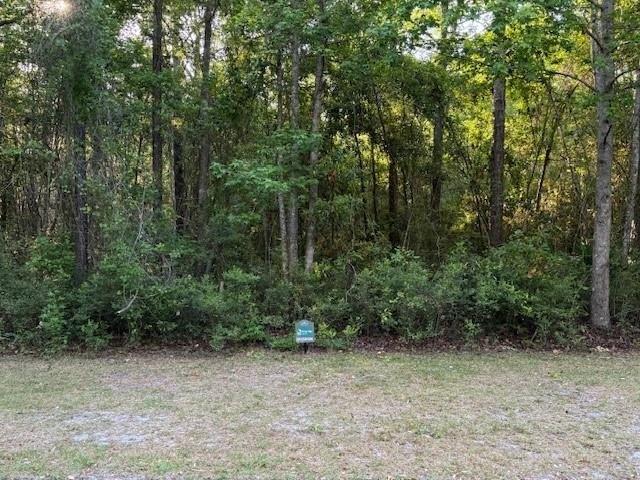 Lighthouse Cir Lot 21, Woodbine, GA 31569