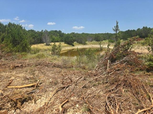 Lighthouse Dr, Bluff Dale, TX 76433