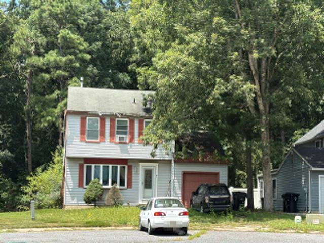 Lily Ct