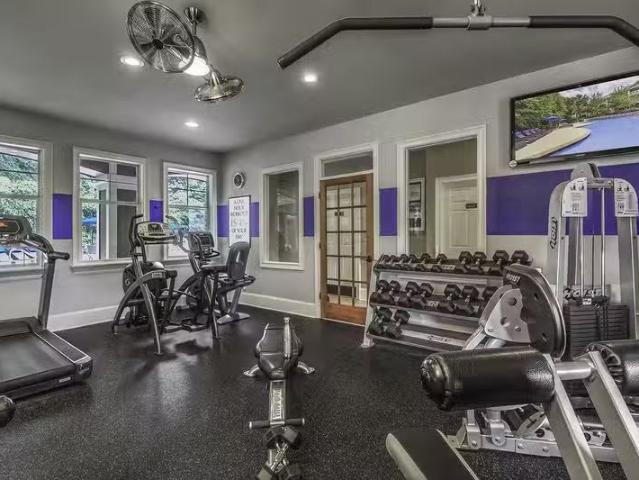 Lily Camden Deerfield