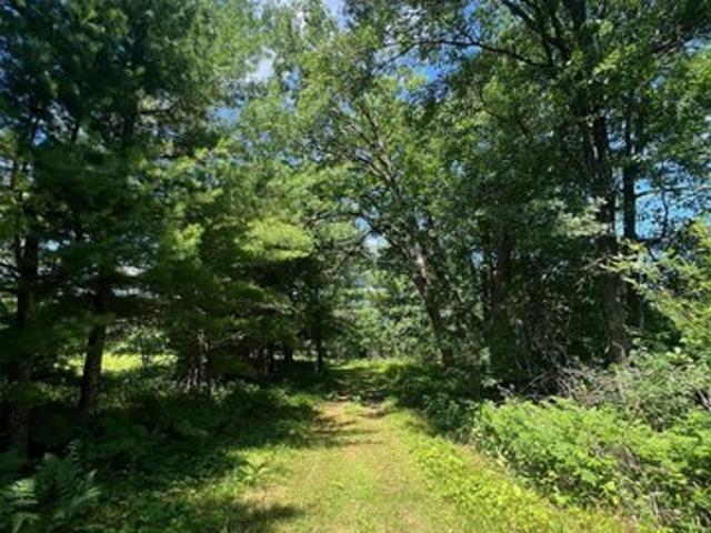 Lily Lake Inn Rd, Webster, WI 54893