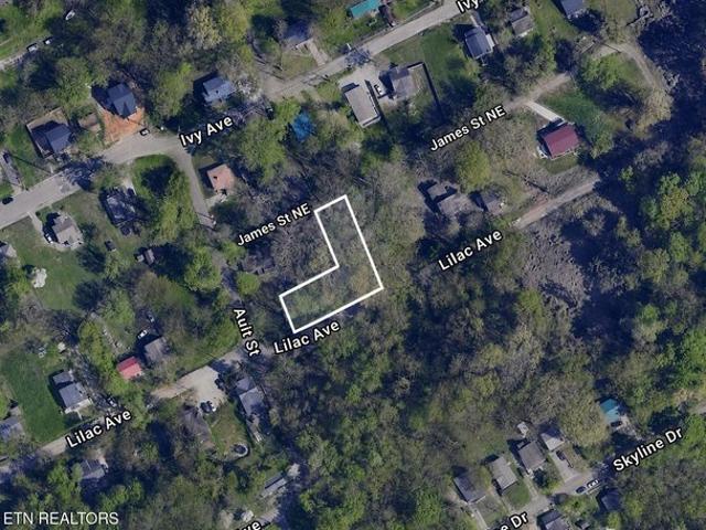 Lilac Ave, Knoxville, TN 37914