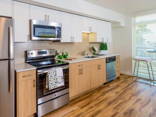 Lillehammer Apartments 1 Bedroom Apartment for Rent at 7016 15th Ave Nw, Seattle, WA 98117 Whittier Heights