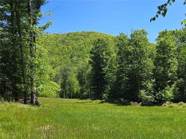 Lillibridge Rd, Olean, NY 14760