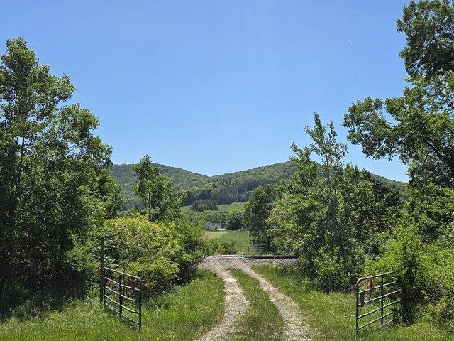 Lillibridge Rd, Olean, NY 14760