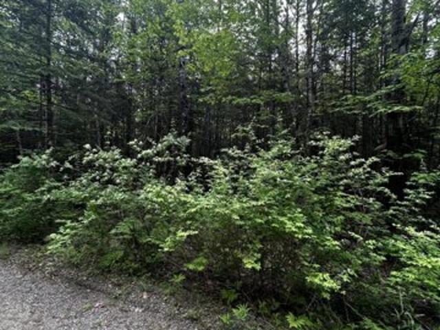 Lilly Dr Lot, Newport, Plot For Sale