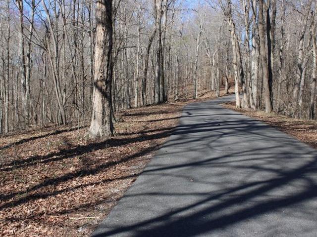 Lisanby Rd Lots 45 & 44, Eddyville, KY 42038