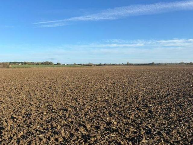 Lissington, Lissingley Lane, Lincoln, Land For Sale