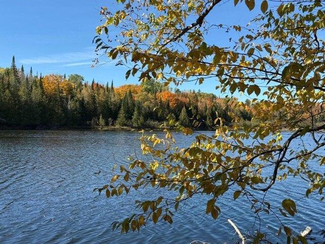Littleton ME 04730 LS102280888