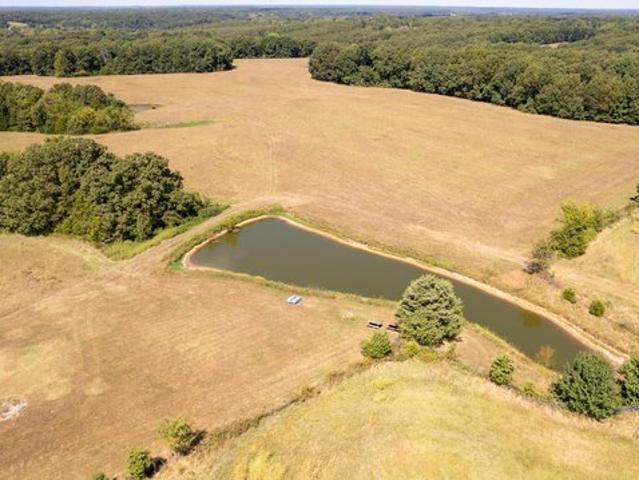 Little Creek Dr, Fordland, MO 65652