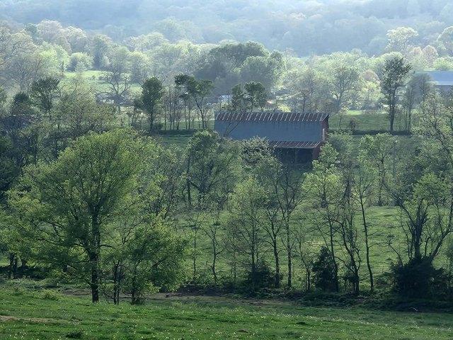 Little Creek Rd, Mountain Grove, MO 65711