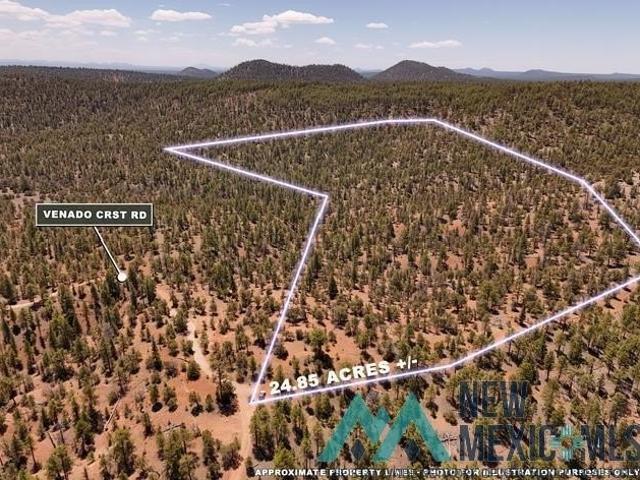 Little Arrow, El Morro National Monument, NM 87321