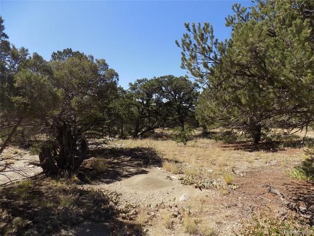 Little Bear Road