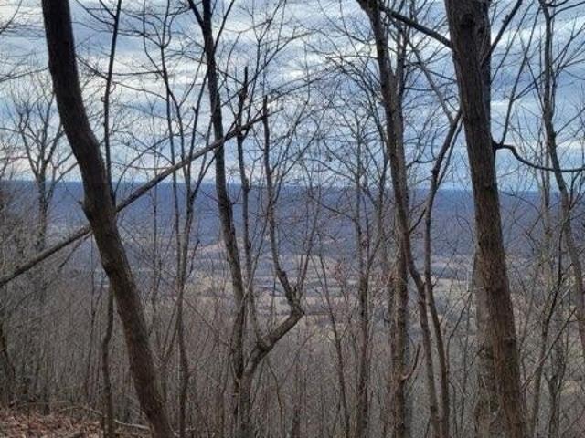 Little Bedford Rd, Spring City, TN 37381