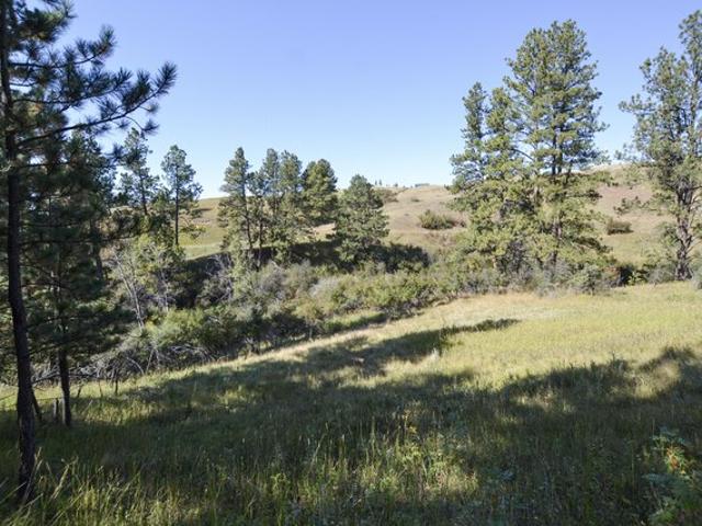 Little Belt Dr Lot 10, Lewistown, MT 59457