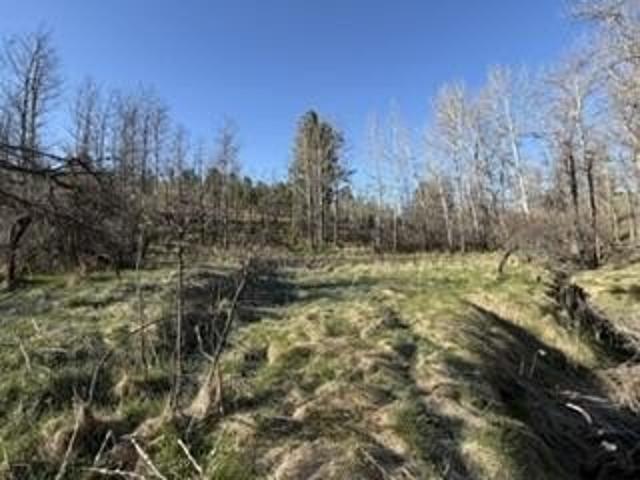 Little Belt Dr Lot 13, Lewistown, MT 59457