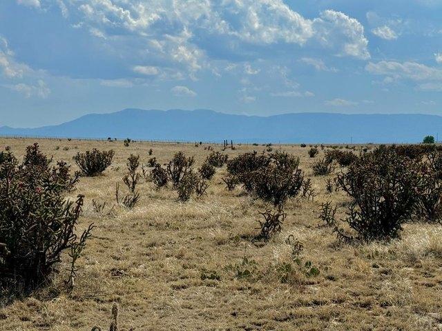 Little Burnt Mill Rd, Pueblo, CO 81004