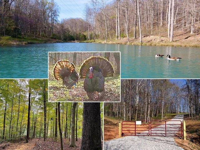 Little Kyger Rd, Cheshire, OH 45620