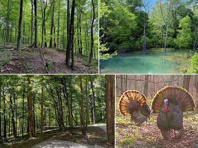 Little Kyger Rd, Cheshire, OH 45620