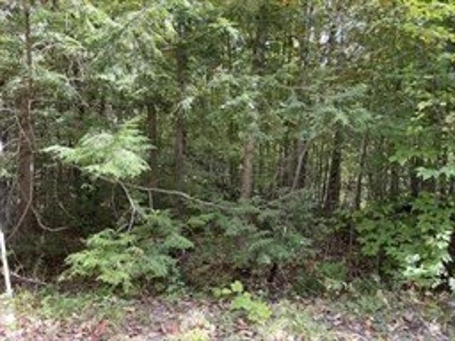 Little John Dr, Becket, Plot For Sale