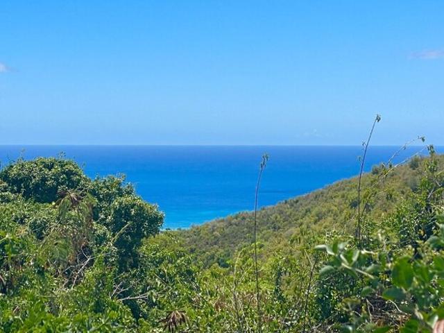 Little La Grange We, Saint Croix, Plot For Sale