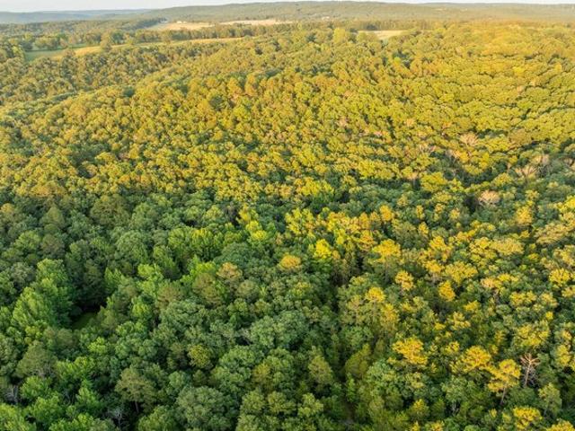 Little Line Rd, Shirley, AR 72153