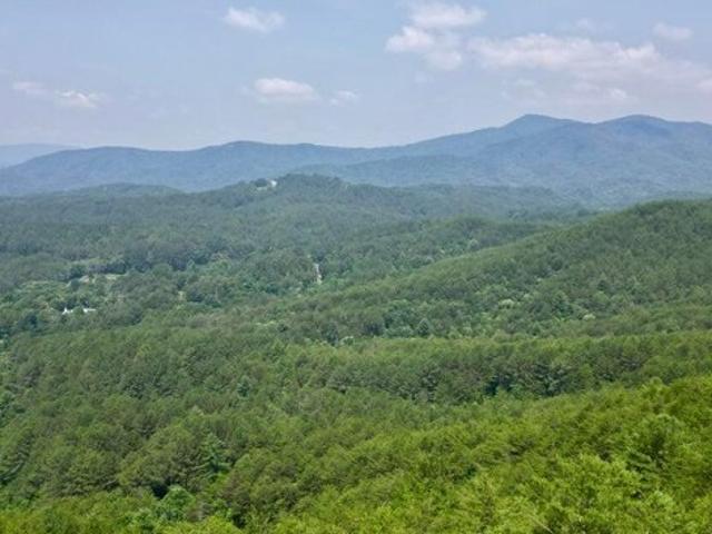 Little Mountain Rd, Copperhill, TN 37317