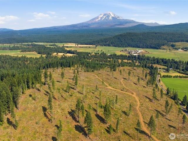 Little Mountain Rd, Trout Lake, WA 98650