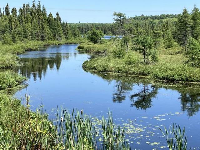 Little Marais Rd, Finland, MN 55603