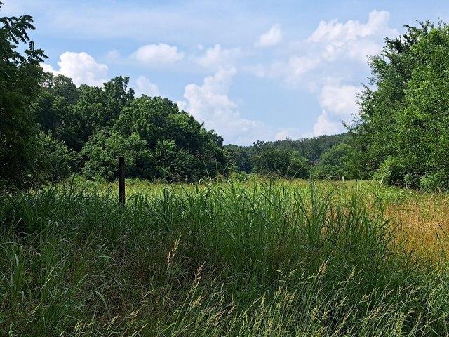 Little Mill Rd, Granby, MO 64844