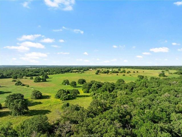 Little Mississippi Cemetery Rd, Franklin, TX 77856