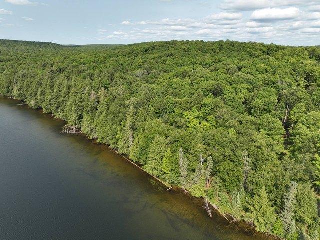 Little Smoky Lk Est Lot 1, Iron River, MI 49935