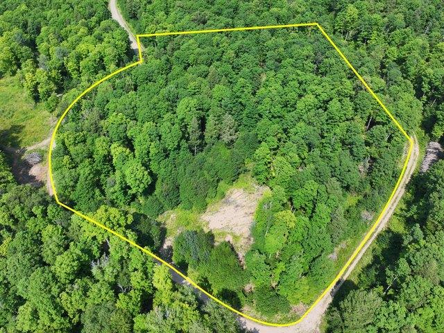 Little Smoky Lk Est Lot 20, Iron River, MI 49935