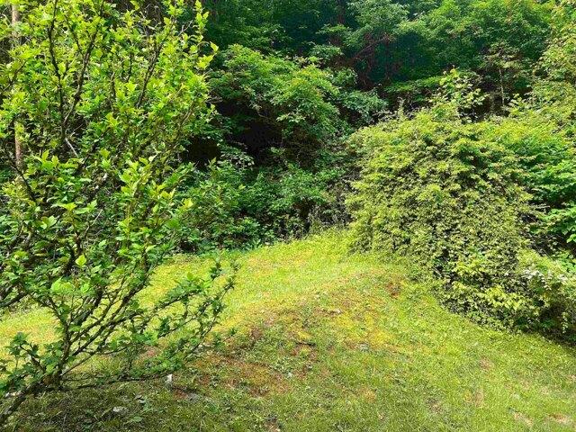 Little Sandy Rd, Elkview, Farm House For