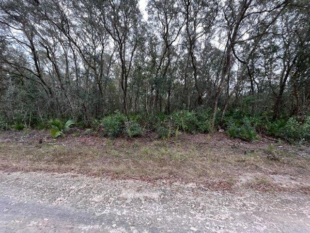 Little Stone Dr, Webster, FL 33597