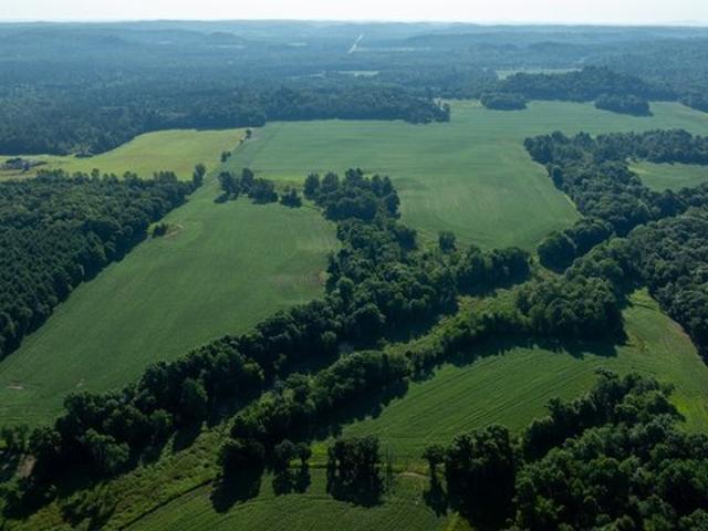 Little Sweden Rd, Osseo, WI 54758