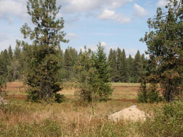 Little Sweden Rd, Valley, WA 99181