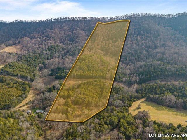 Little Sycamore Rd, Tazewell, TN 37879