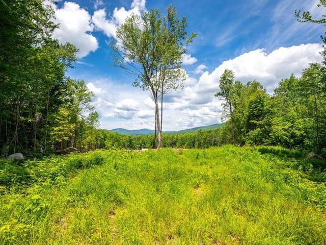Little Pond Rd, Andover, VT 05143