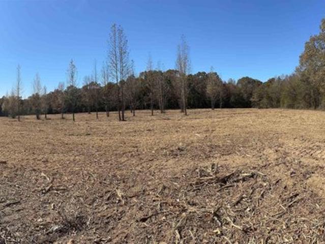 Little Red Mountain Rd, Pangburn, AR 72121