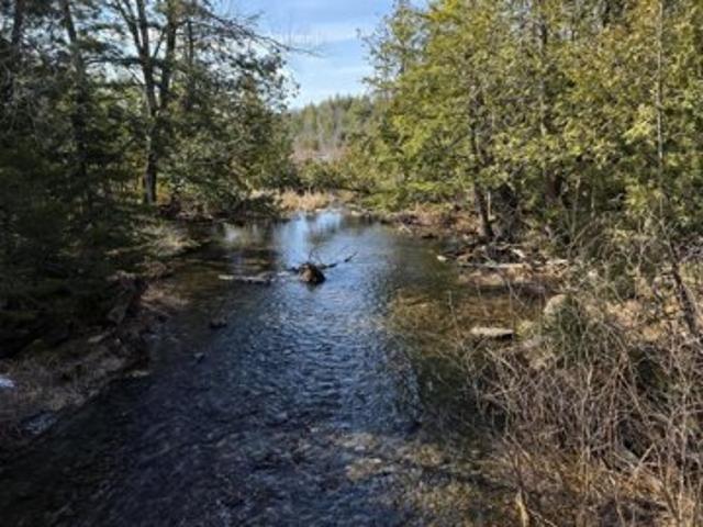 Little River Cove Rd, Weston, Plot For Sale