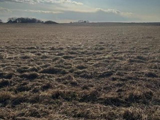 Little Wall Lake Rd Lot 2, Jewell, IA 50130