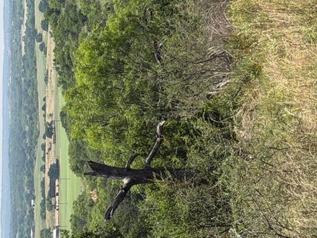 Little Willow Creek Rd, Mason, TX 76856