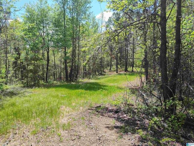 Little Tom Rd Lot 0, Rockford, AL 35136