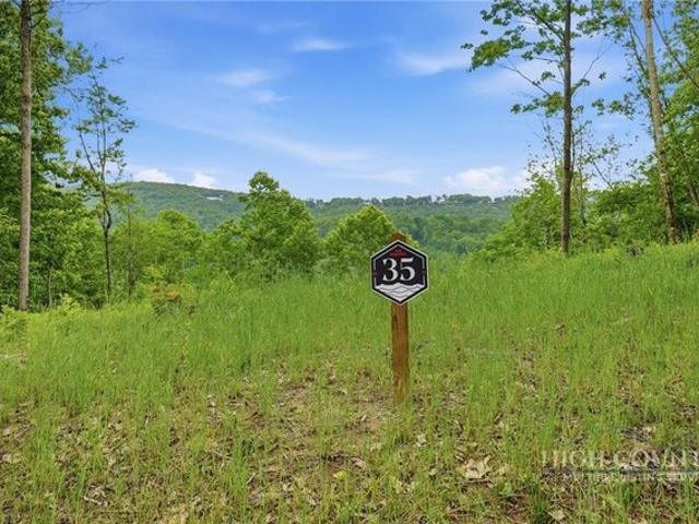 Little Tree Ln Lot 35, Elk Park, NC 28622