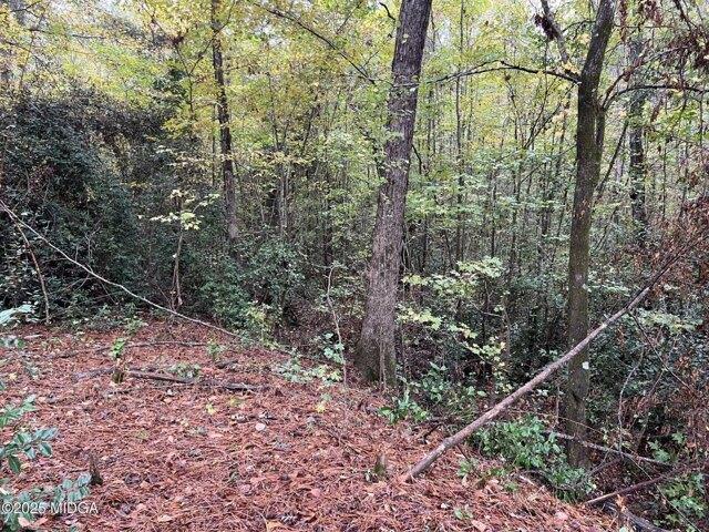 Lite N Tie Rd Lot A, Gray, Plot For Sale