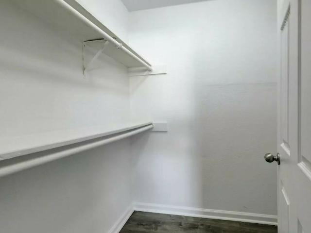 Live Oak 2 Bedroom Apartment for Rent at 851 Threadneedle St, Houston, TX 77079 Energy Corridor
