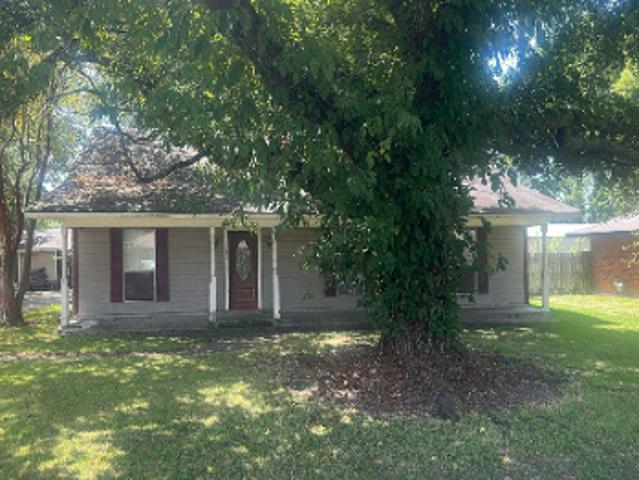 Live Oak Dr